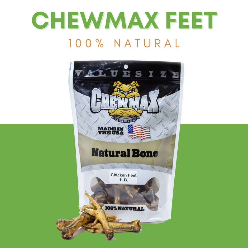 Chewmaxpet#N# – chewmaxpet